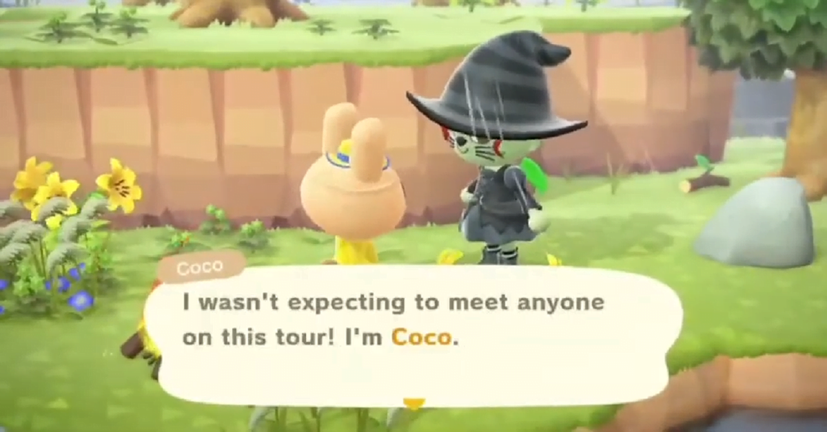 Coco Animal Crossing New Horizons - A Complete Guide